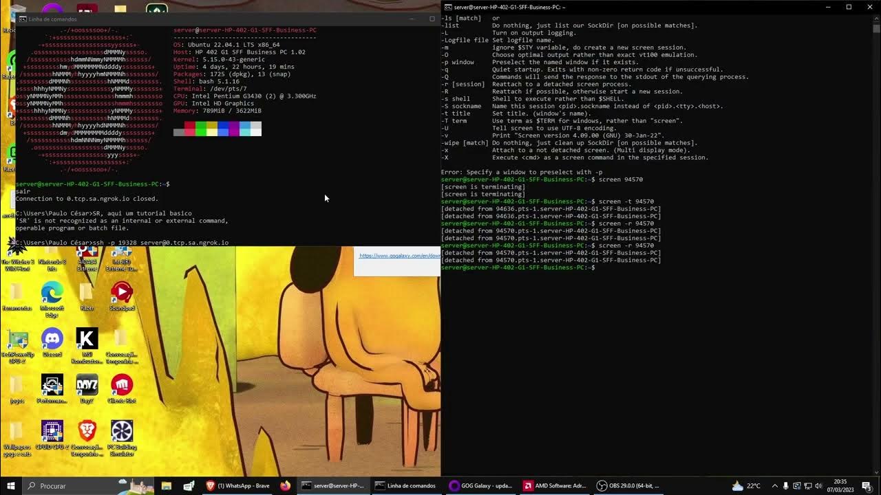 Tutorial de ngrok - YouTube