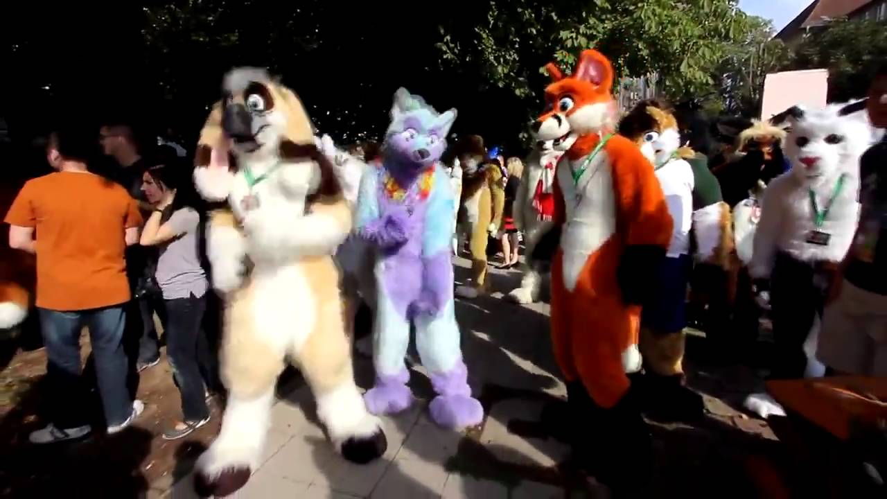 Outdoor Furry Dance Party - YouTube