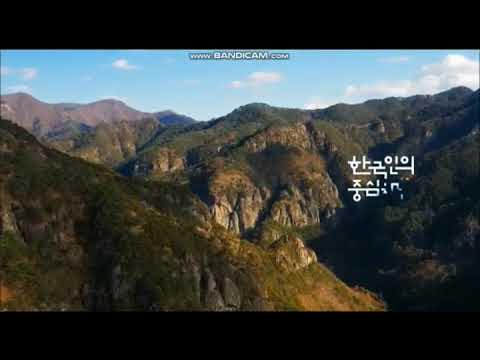 KBS1 ID 정성을 다하는 국민의 방송 - 주왕산 - YouTube