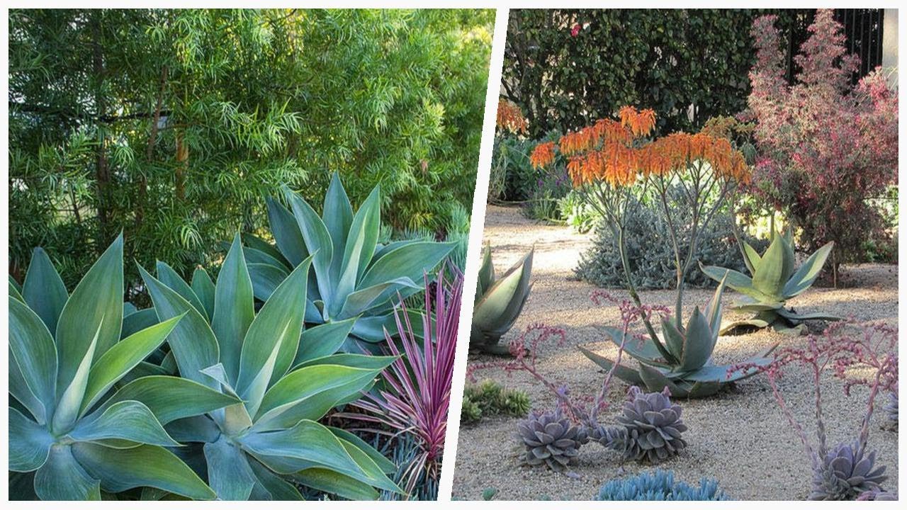 75 Turquoise Full Sun Landscaping Design Ideas You'll Love 😊 - YouTube