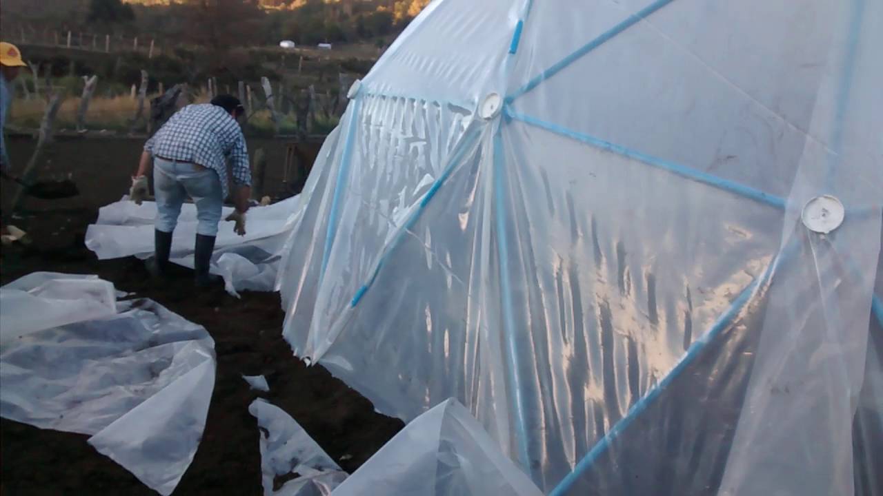 domo geodesico de PVC, tipo invernadero - YouTube