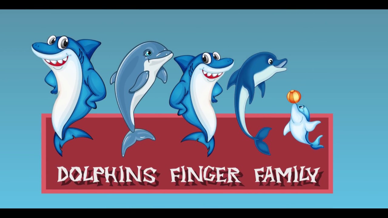 Dolphin Daddy Finger Song (finger family) & songs collection - Songs ...