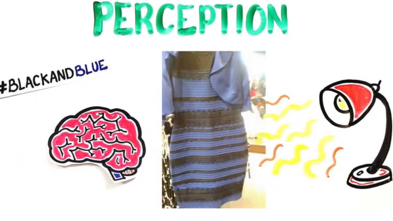 What Color Is The Dress? Best Video of The Dress Explained through ...