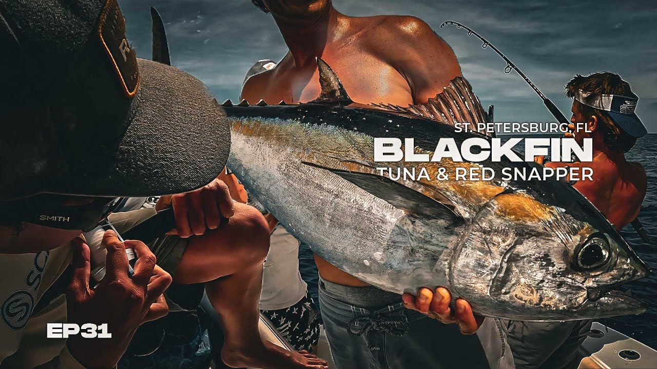 Catching Blackfin Tuna: Beginners Guide to Bottom Fishing for Tuna and ...