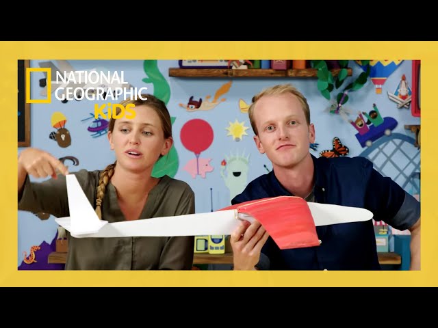 The Airplane Birthday ️ | Weird But True Full Episode | @natgeokids ...