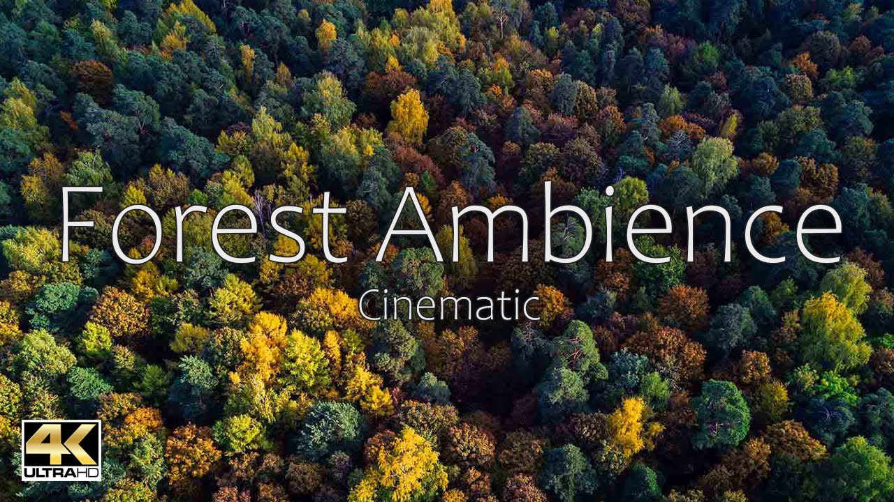 [EPIC 4k Cinematic Video] Cinematic Forest Ambience (Ambient Sound ...