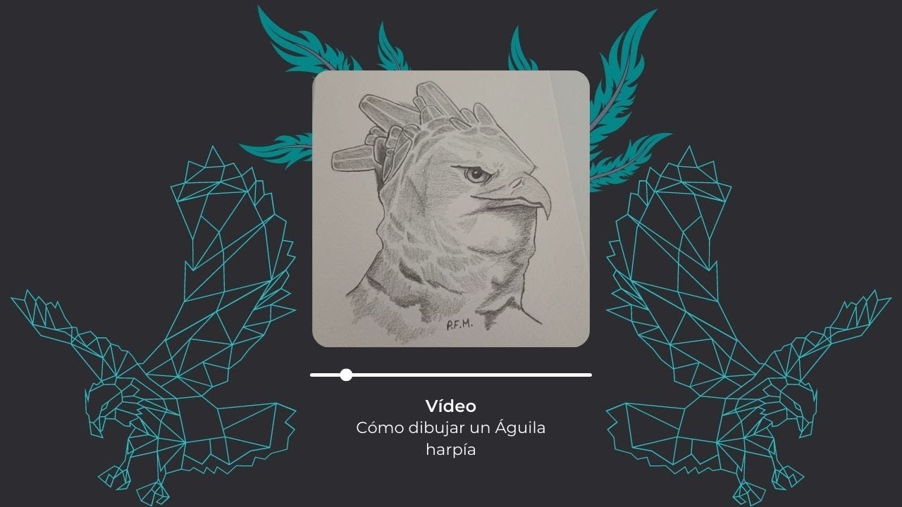 Cómo dibujar un Águila harpía #draw #drawing #creative #águilaharpía ...
