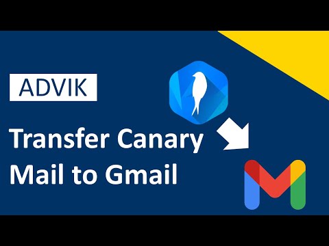 How to Transfer Canary Mail to Gmail? Updated 2025 Tutorial