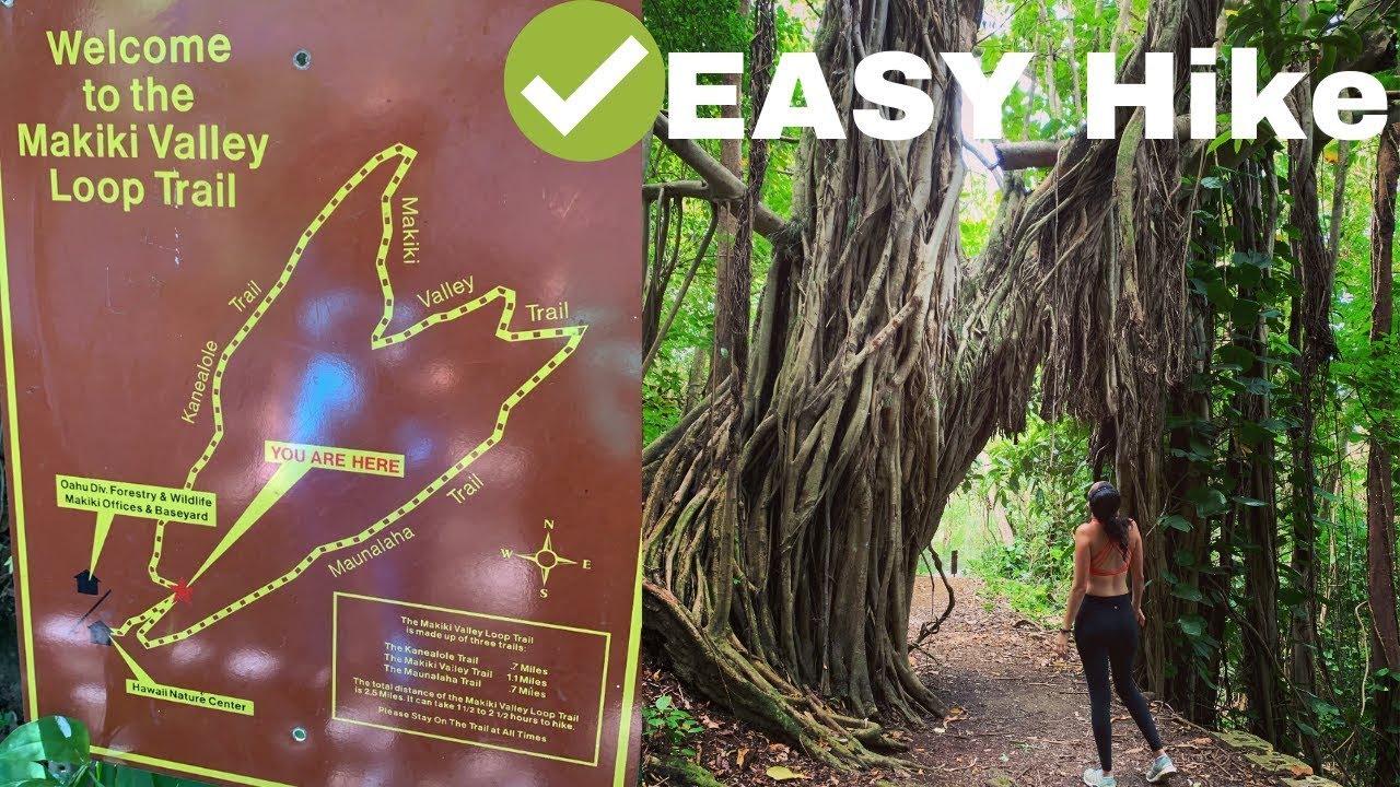 HIKE MAKIKI VALLEY LOOP TRAIL | Easy hikes to do in Honolulu, Hawaii ...