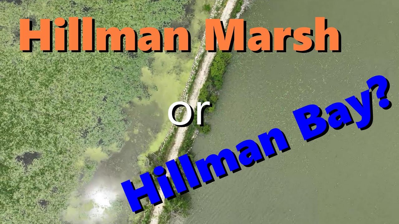 Hillman Marsh Breached by Lake Erie - YouTube