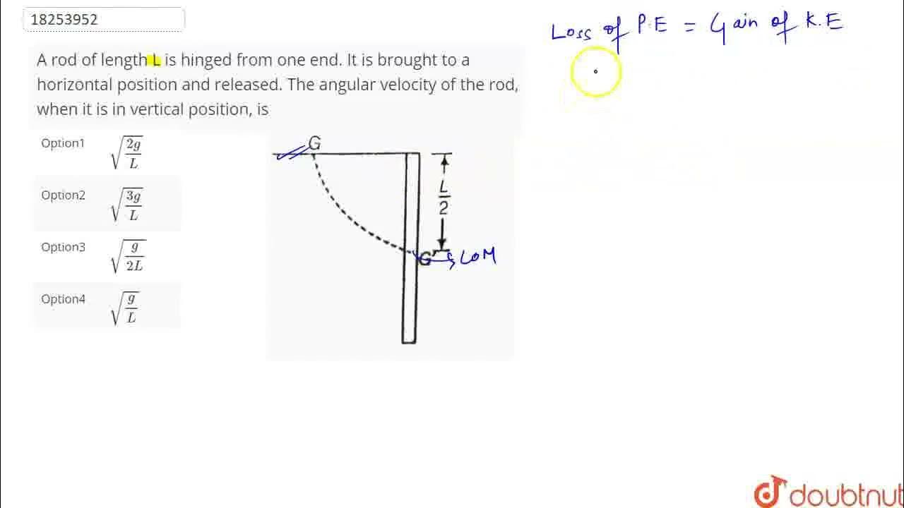A rod of length L is hinged from one end. It is brought to a horizontal position and released. T ...
