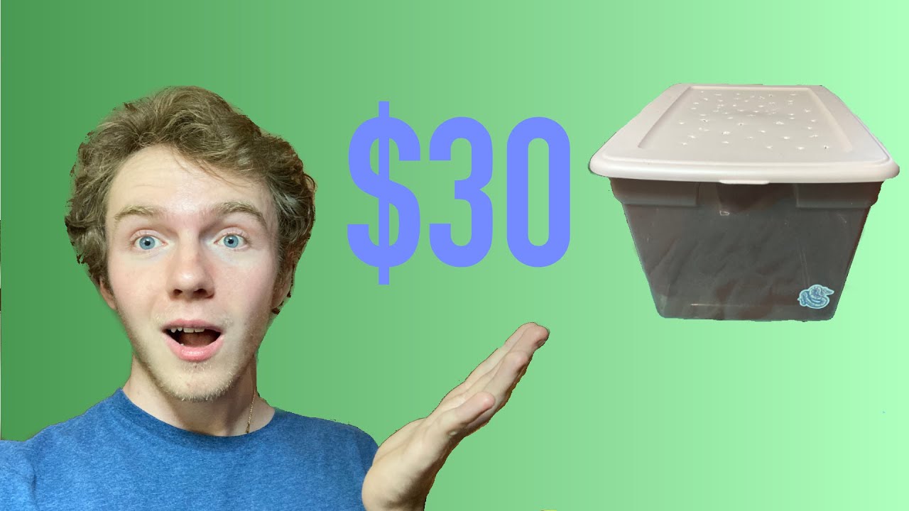 How to Make a DIY Temporary Snake Tub!! *Only $30* - YouTube