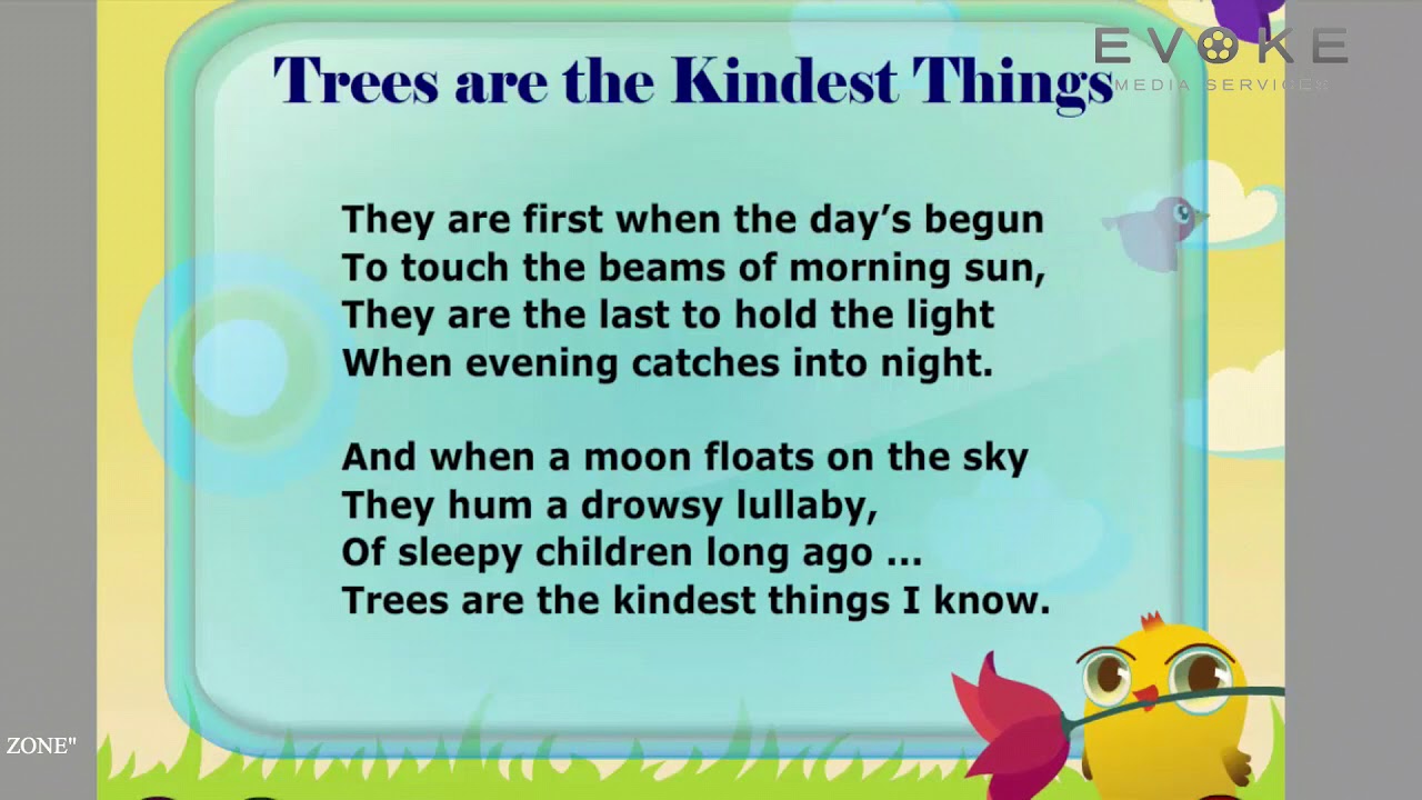 Trees Are The Kindest Things || English Story - YouTube