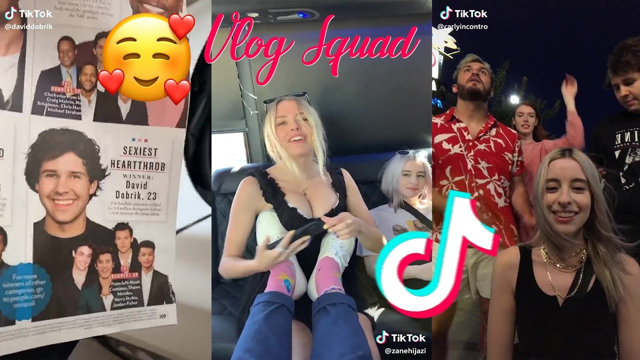 NEW DAVID DOBRIK AND VLOG SQUAD Tik Tok Compilation (November) - YouTube