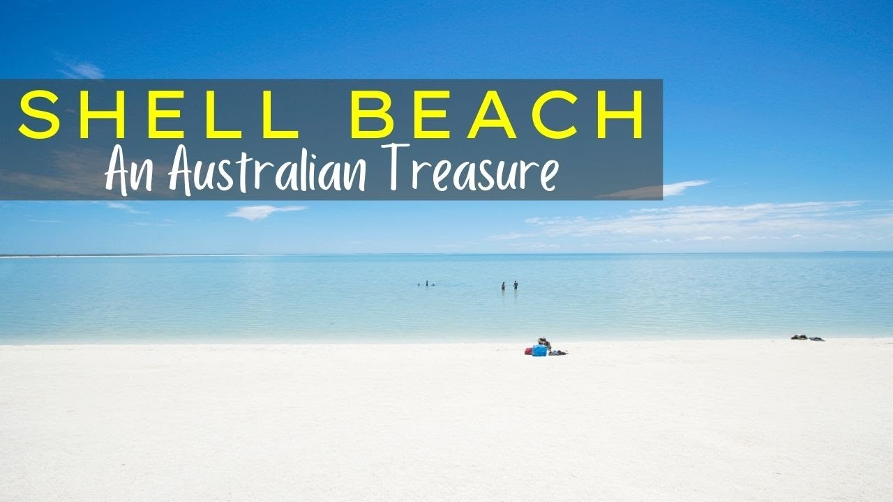 Shell Beach | Travel Guide | Shark Bay Western Australia - YouTube