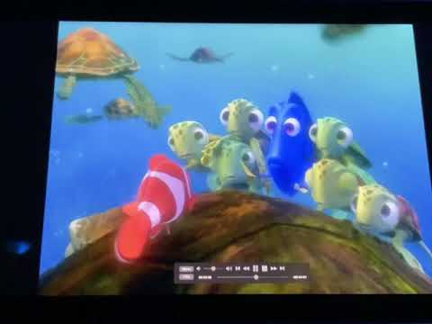 Finding vines on JEDIBEAR
