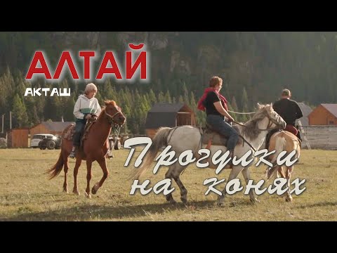 Прогулка на конях. Первый раз в седле. Акташ. Горный Алтай