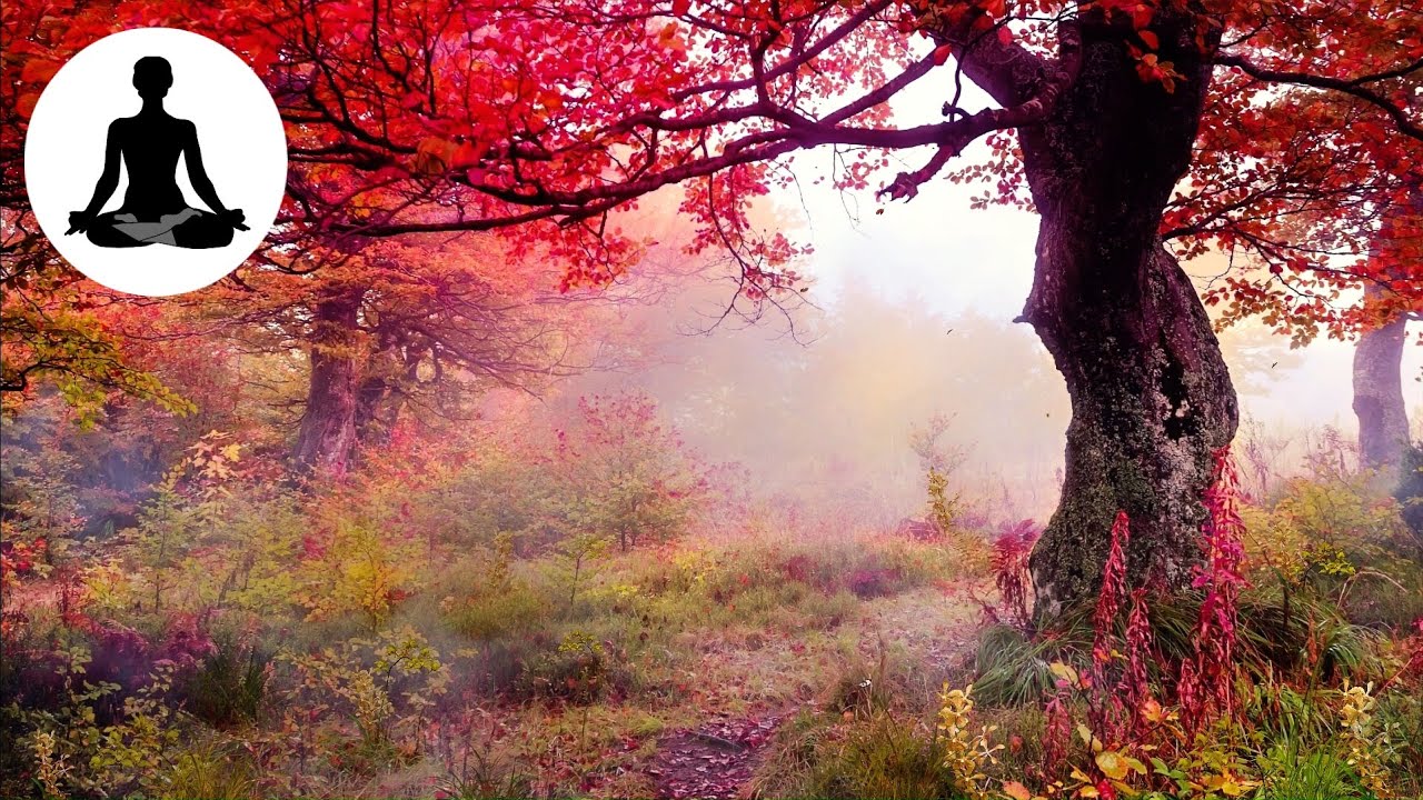 Raw Power GUIDED MEDITATION 💬 Harmony | Inner Peace | Mindfulness - YouTube