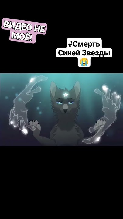 #Смерть#Синей#Звезды#Коты-Воители#СиняяЗвезда - YouTube