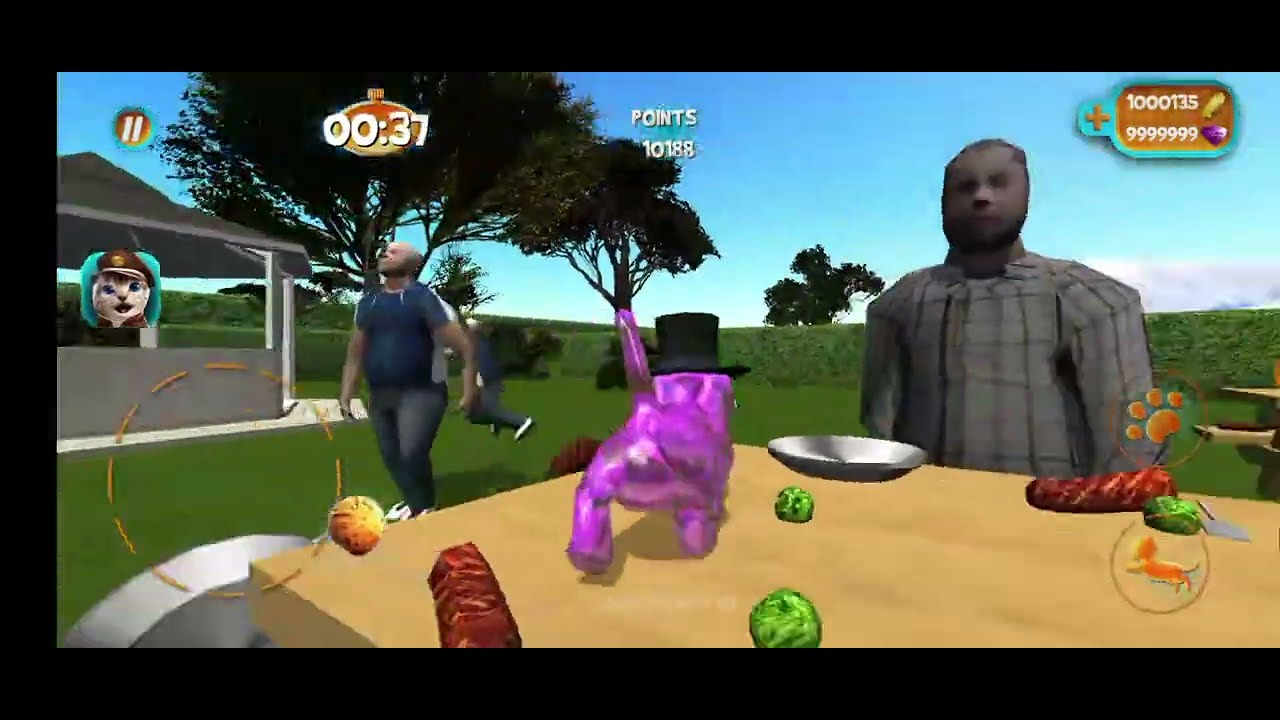 Cat Simulator 2015 Gameplay | Outside 1 | Points: 12670 - YouTube