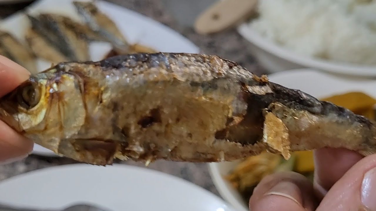 tuyo (dried stinky fish) and dried squid 🐙 - YouTube