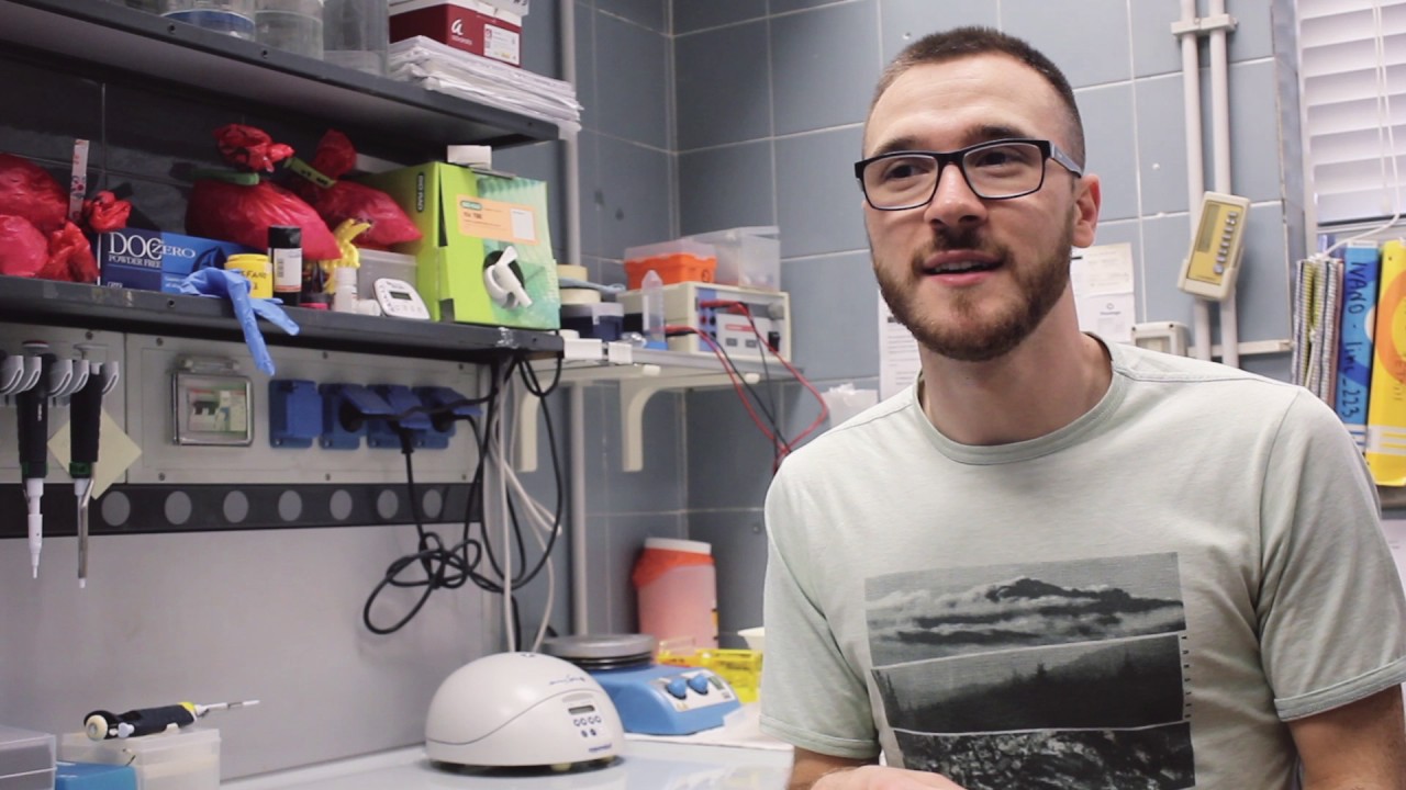 Master Course in Genetics and Molecular Biology: Student's point of ...