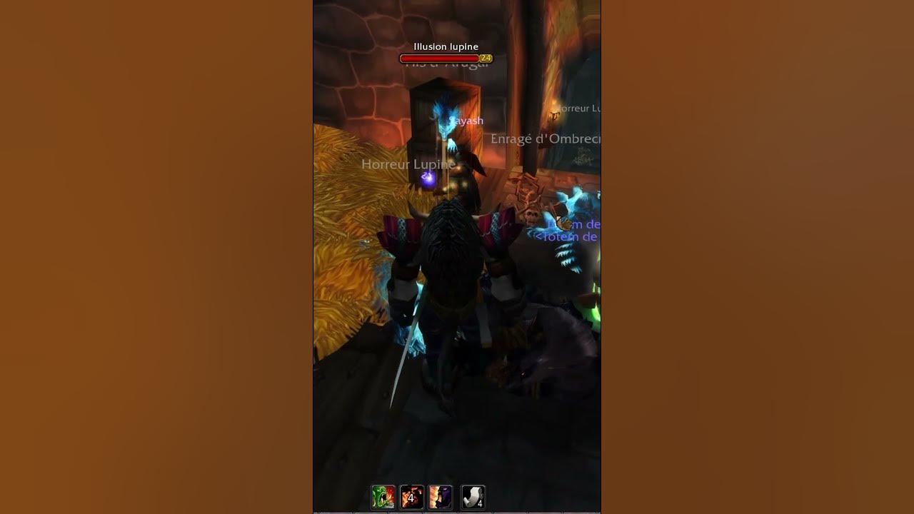 WoW Classic BUG RARE au Donjon d'Ombrecroc - YouTube