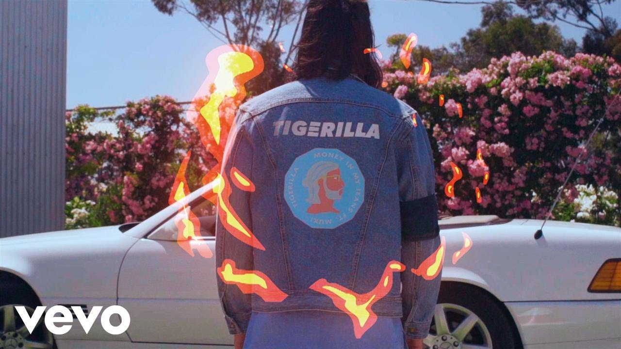 Tigerilla - Money in My Jeans (Official Video) - YouTube