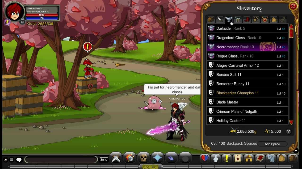AQW New battle pet! - YouTube