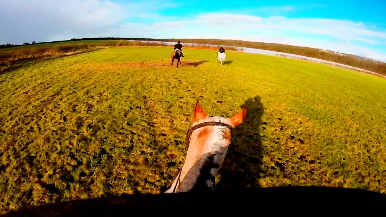 Four Shires Hunt - Welbeck Abbey - YouTube