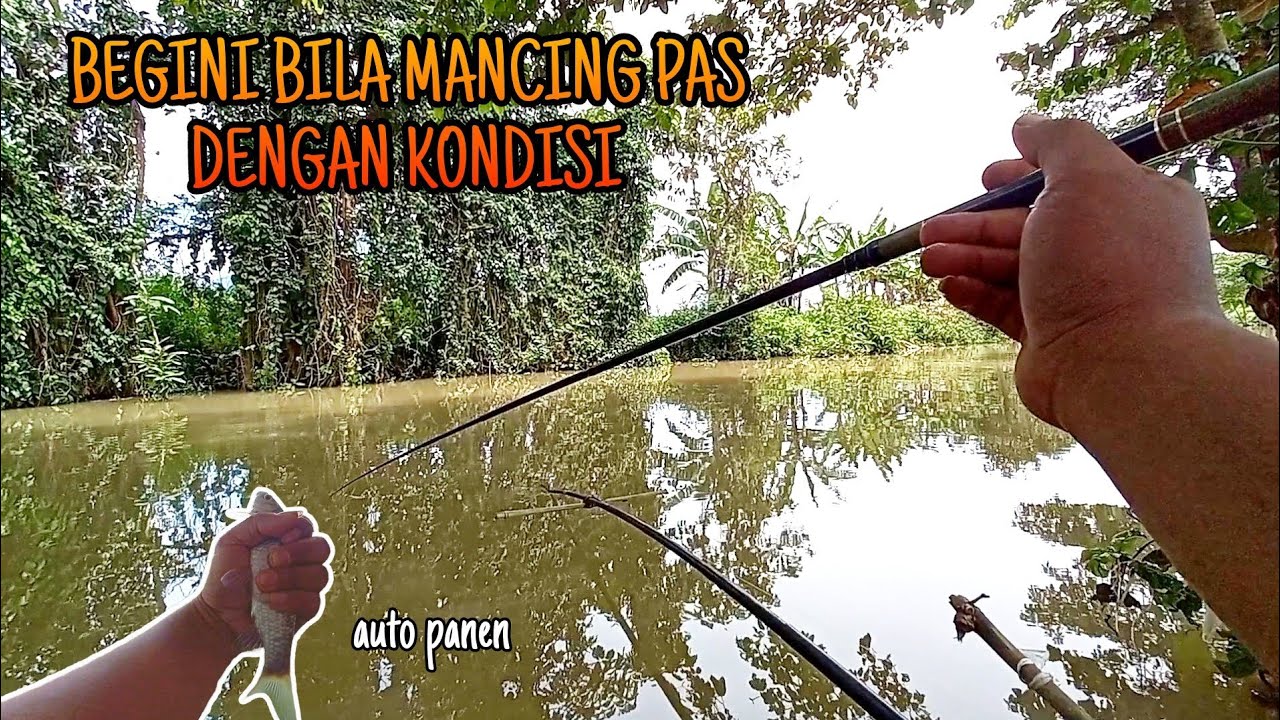 BEGINI BILA MANCING PAS DENGAN KONDISI AIR DI SUNGAI BEJALEN !!! AUTO ...