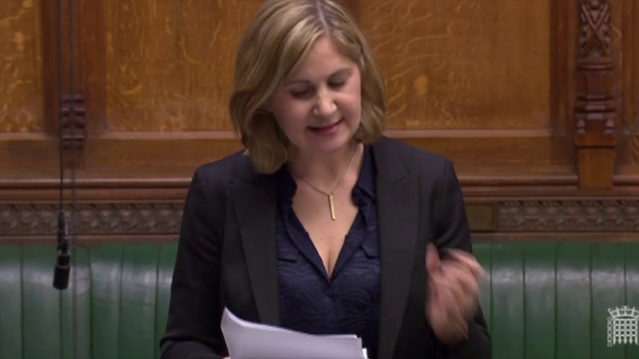 Anna McMorrin MP - Environment Bill Second Reading 26/02/20 - YouTube