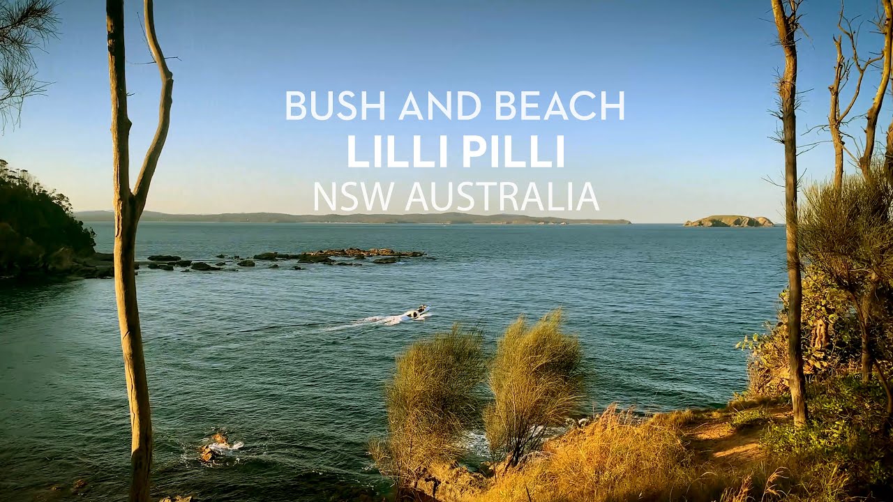 Bush and Beach Walk Lilli Pilli NSW Australia. 4k - YouTube