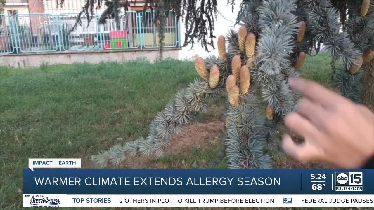 Think allergy season is over? Not so fast, a doctor says - YouTube