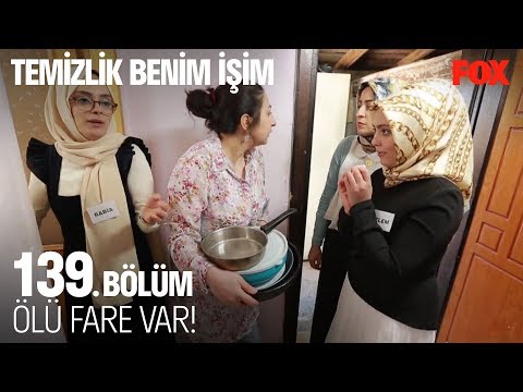 Ölü fare var! Temizlik Benim İşim 139. Bölüm