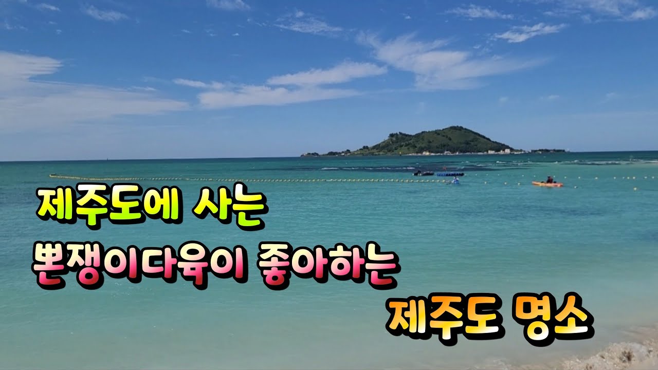제주도에 사는 뽄쟁이다육이 좋아하는 아름답고 예쁜 명소 제주도명소 금능해수욕장 비양도 다육식물 다육이키우기 다육이