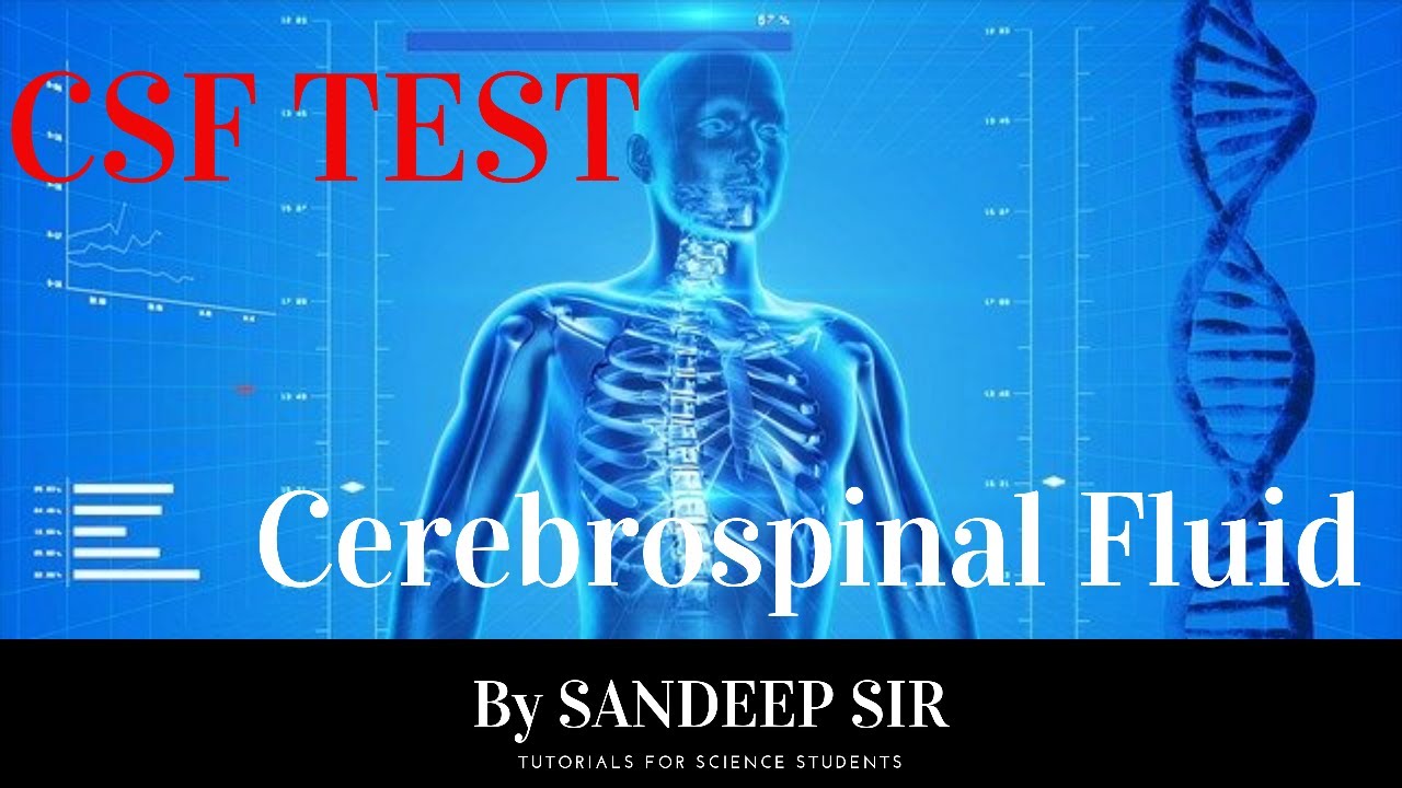 CSF TEST - YouTube