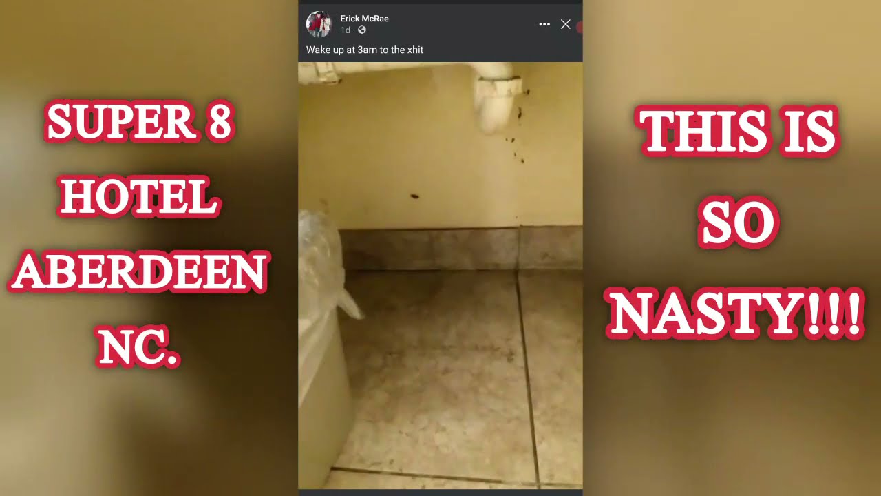 Disgusting ROACH INFESTED Room @ SUPER 8: ABERDEEN, NORTH CAROLINA ...