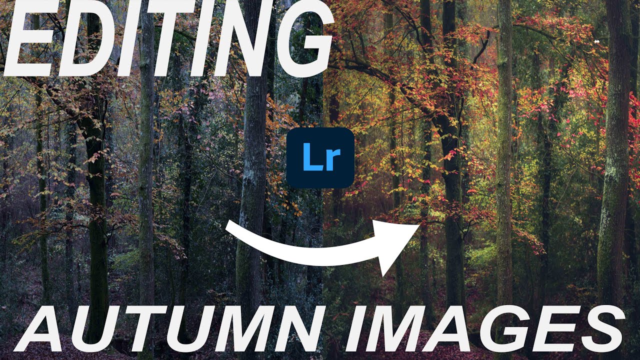 TIPS ON EDITING AUTUMN WOODLAND PHOTOGRAPHY | LANDSCAPE PHOTOGRAPHY UK ...
