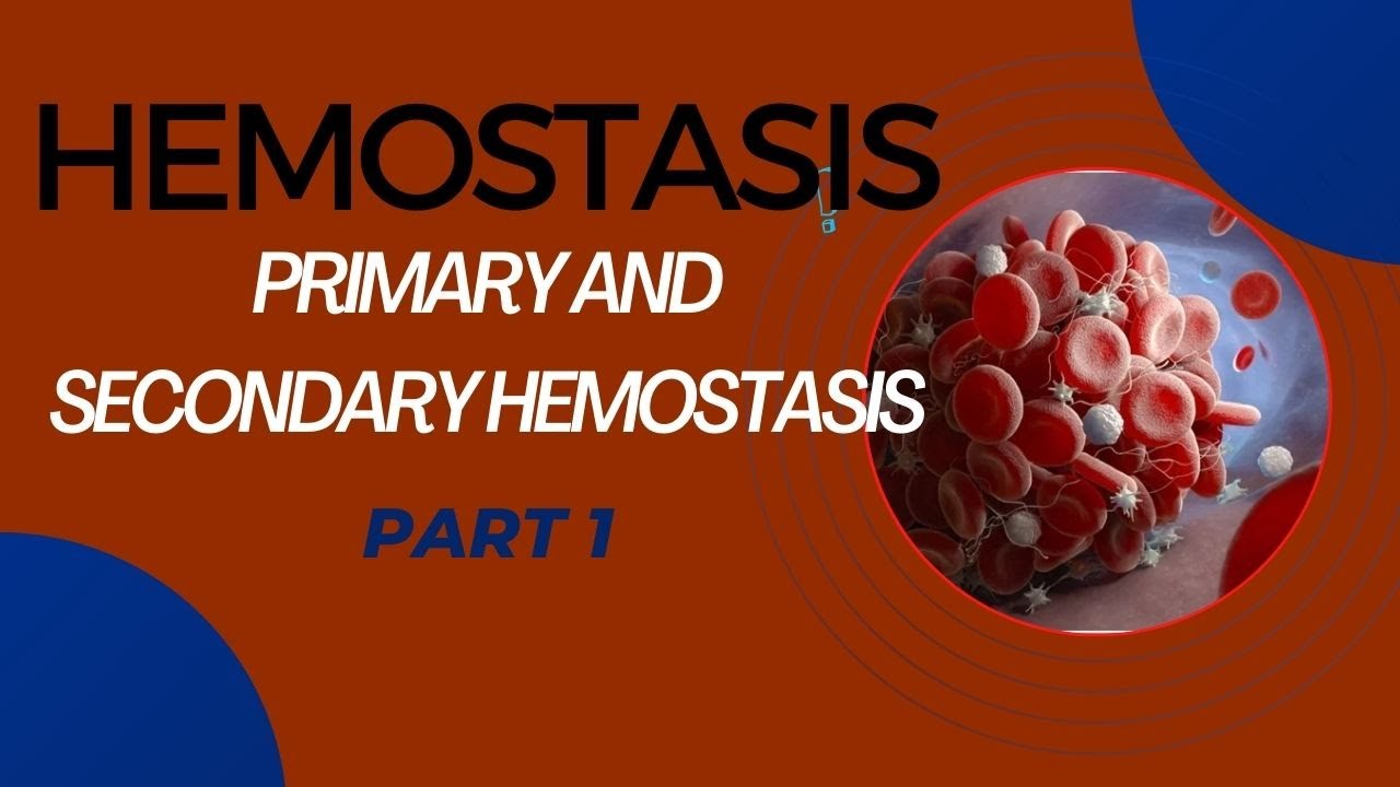 Hemostasis | primary hemostasis | Pletelet plug formation | part 1 ...