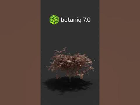 What's new in botaniq 7.0 - YouTube