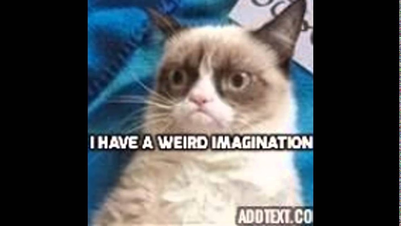 Grumpy cat meets spongebob - YouTube