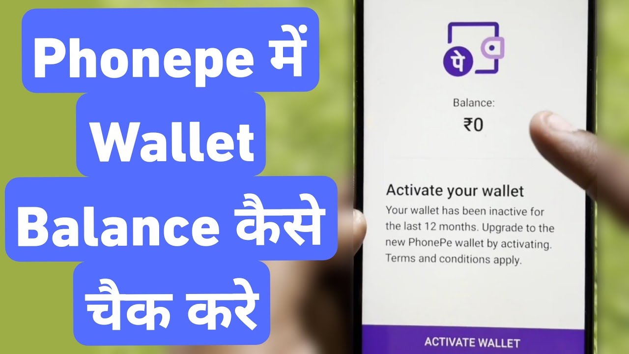 How To Check Wallet Balance in PhonePe || PhonePe Me Wallet Balance ...