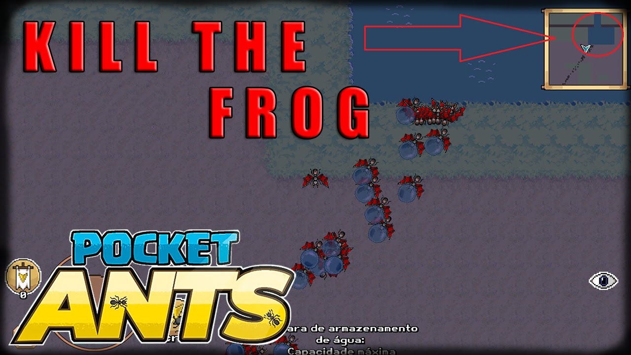 How to kill the Frog and get water - Pocket Ants - YouTube