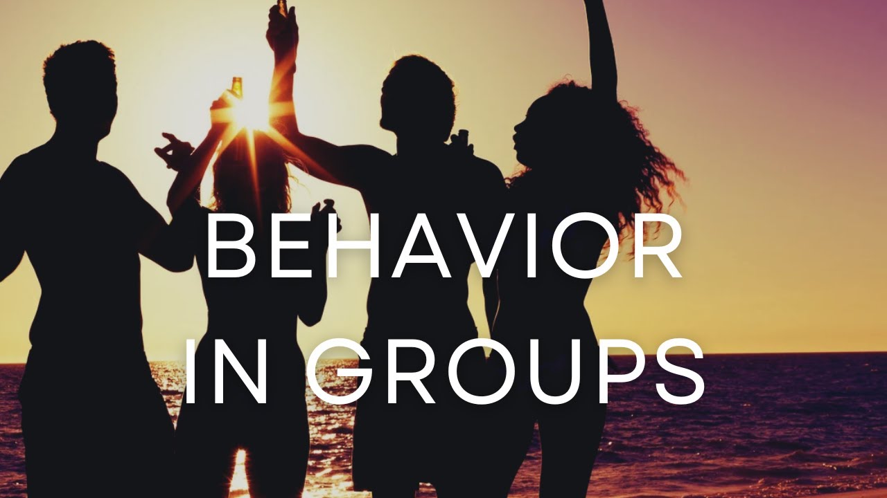 The Psychology of Crowds: Understanding Human Behavior in Groups - YouTube