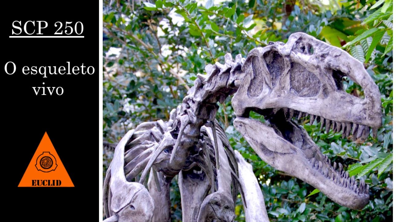 O esqueleto com vida (Oque é o SCP-250) - YouTube