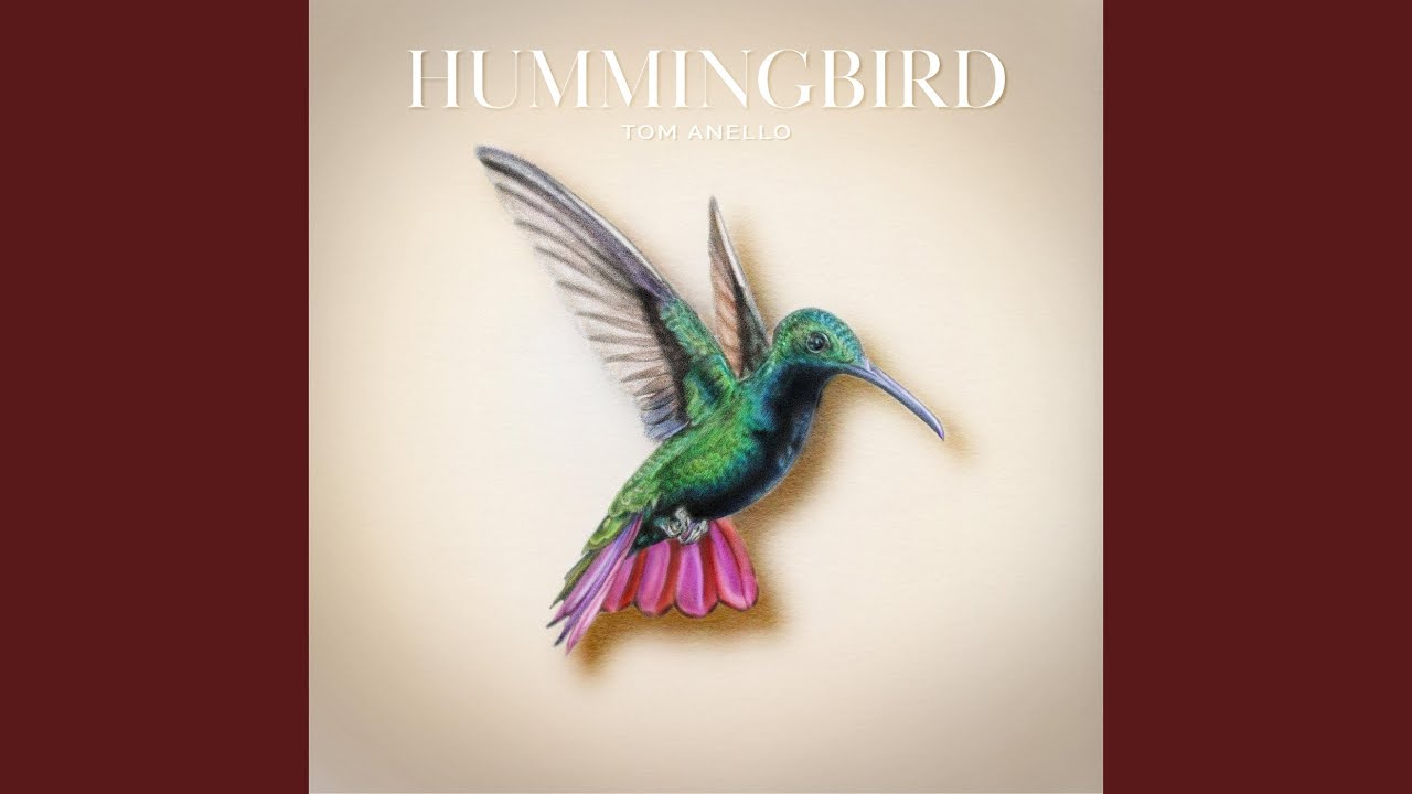 Hummingbird - YouTube