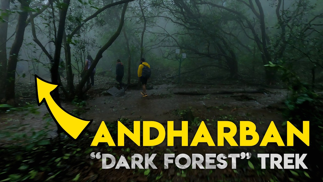 ANDHARBAN "DARK FOREST" TREK // How to do Andharban Trek // Andharban ...
