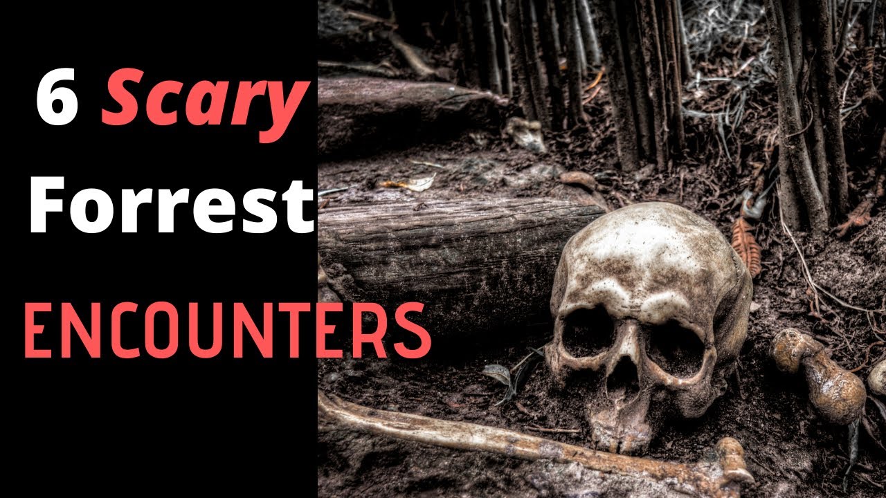 6 Scary Forest Encounters Caught on Camera - YouTube