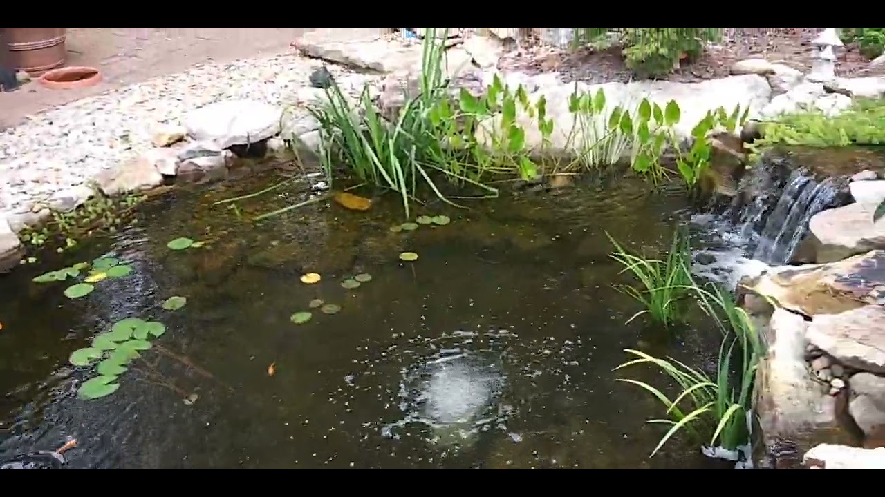 Remember Summer! - YouTube